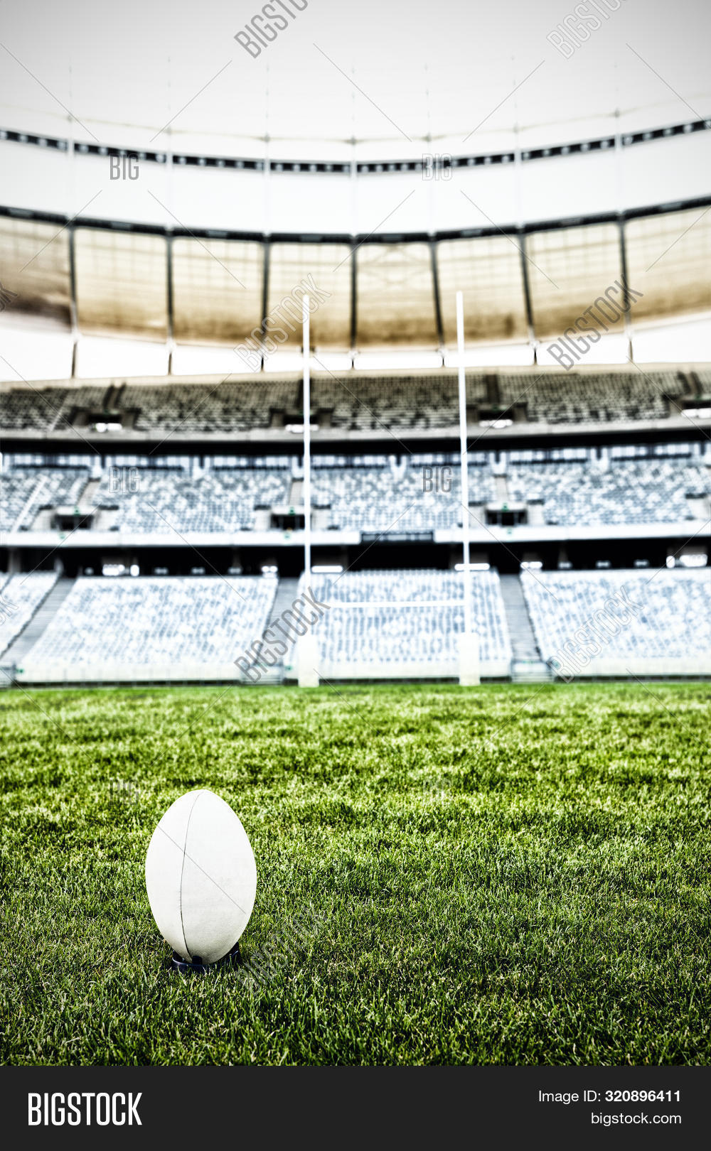 Rugby Ball On Pitch Image & Photo (Free Trial) | Bigstock