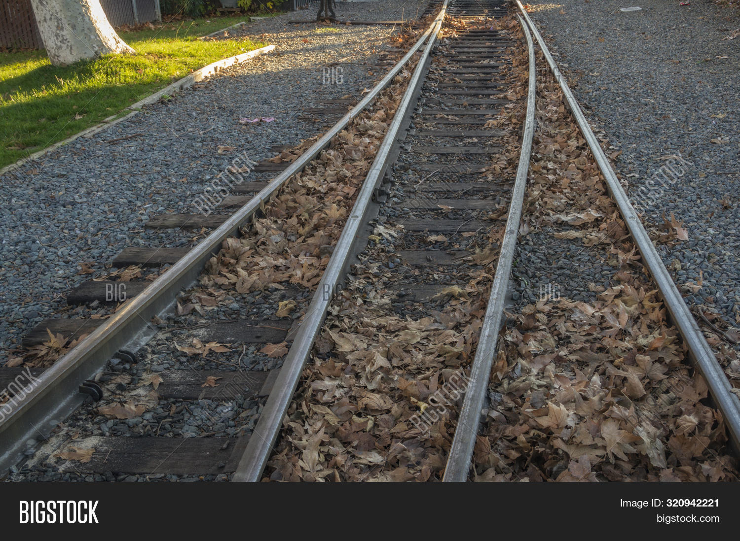 Two Sets Train Tracks Image & Photo (Free Trial) | Bigstock