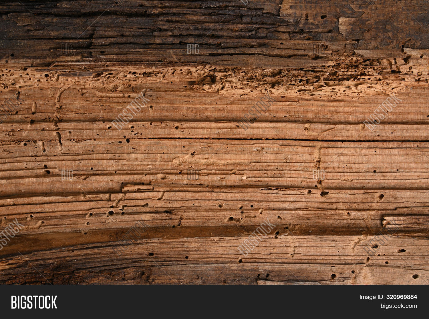 Furnished Background Image & Photo (Free Trial) | Bigstock