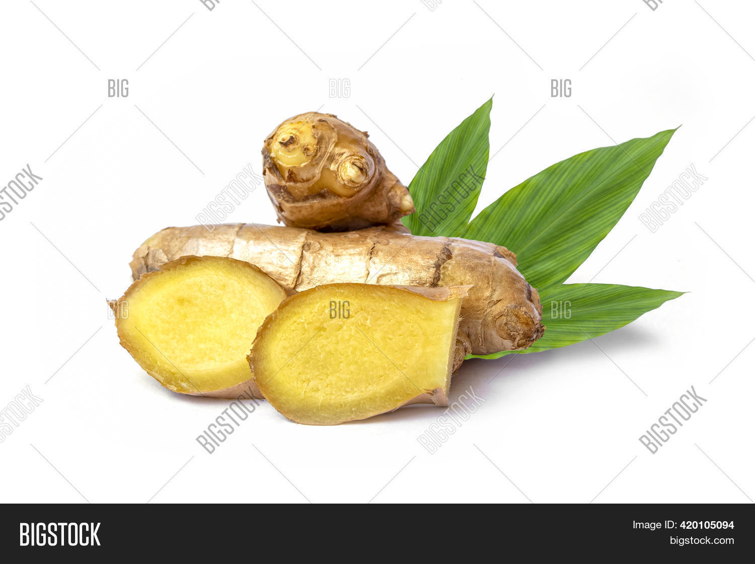 Fresh Ginger Rhizome Image & Photo (Free Trial) | Bigstock