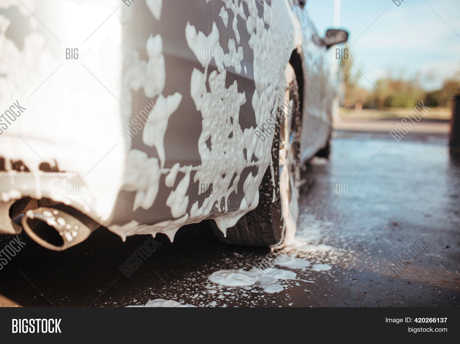 Rear Bumper Soapy Foam Image & Photo (Free Trial) | Bigstock