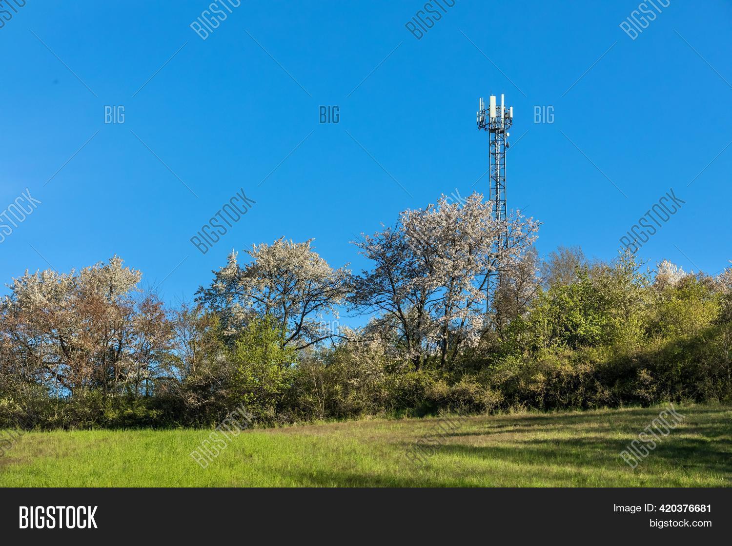 5g Radio Network Image & Photo (Free Trial) | Bigstock