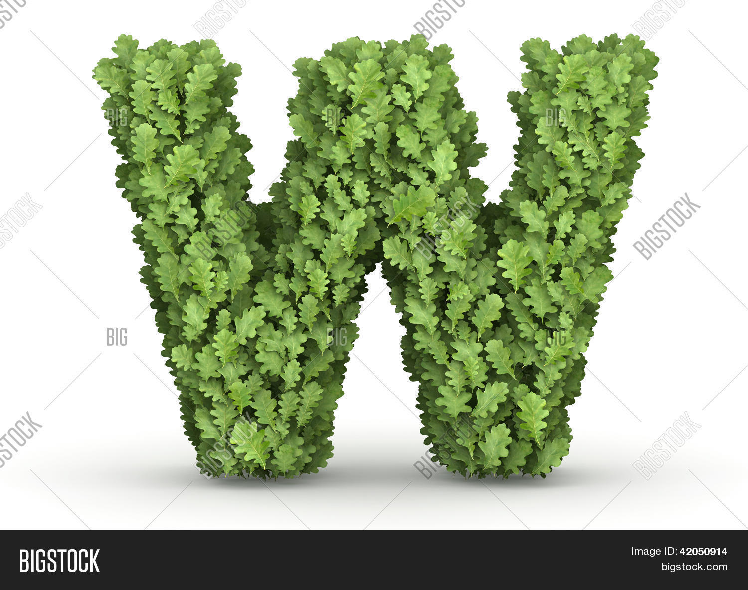Letter W Green Leaves Image & Photo (Free Trial) | Bigstock