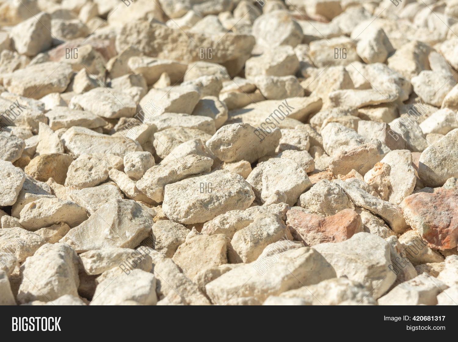 Light Seben Kryp Plan Image & Photo (Free Trial) | Bigstock