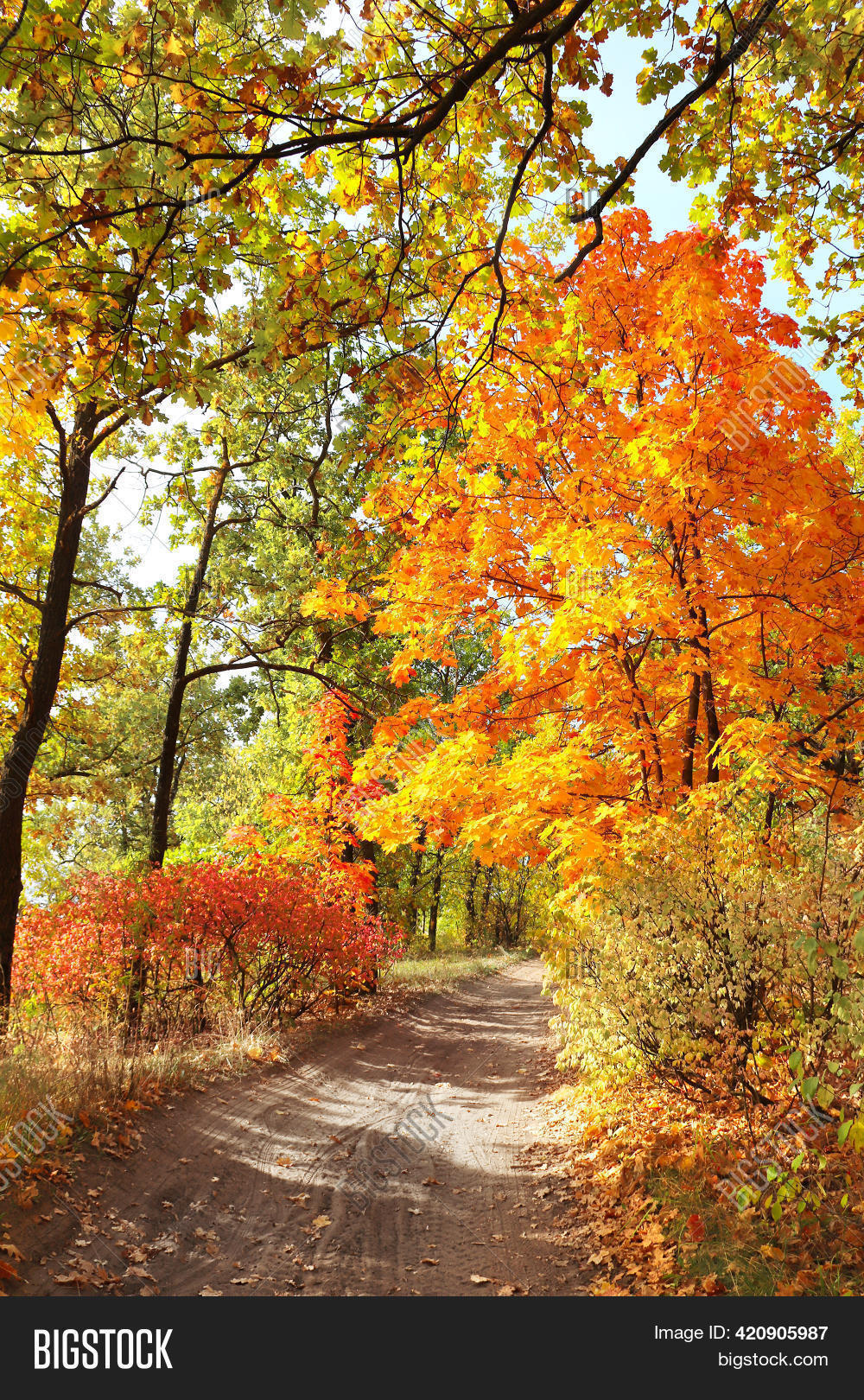 Peaceful Fall Images