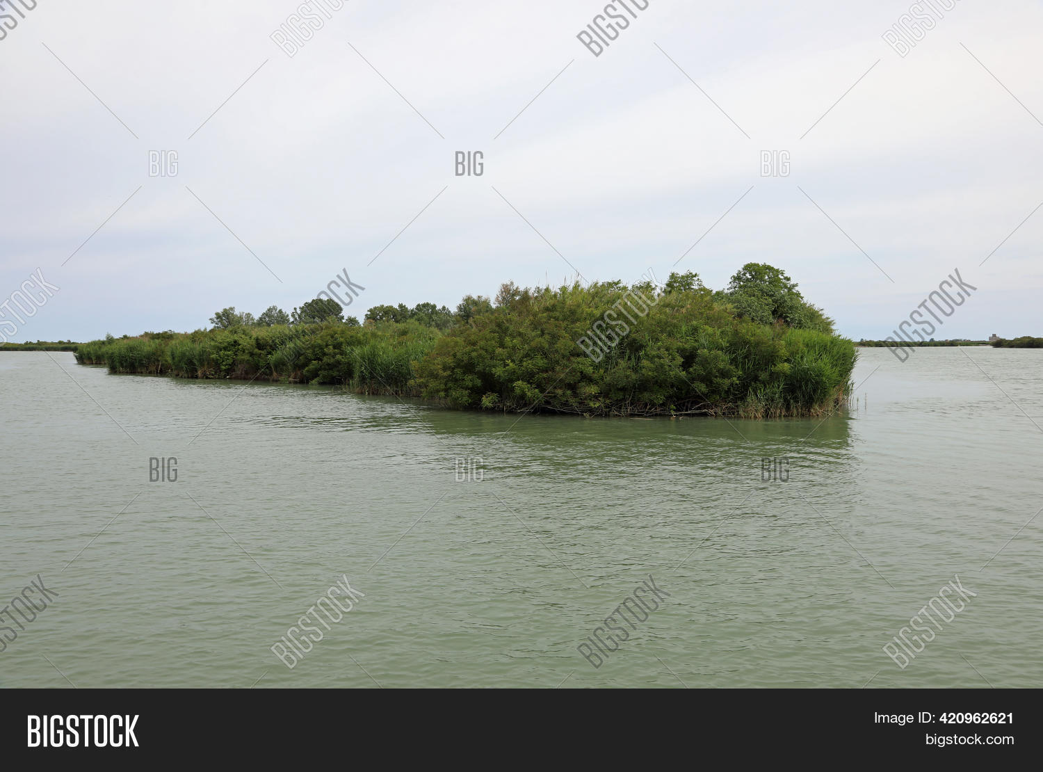 Small Islet Vegetation Image & Photo (Free Trial) | Bigstock