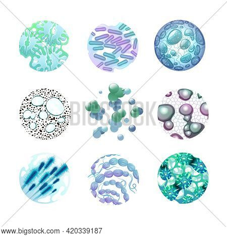 Bacteria Round Icons Vector & Photo (Free Trial) | Bigstock