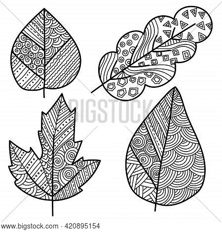 Set Zen Leaves Ornate Vector & Photo (Free Trial) | Bigstock