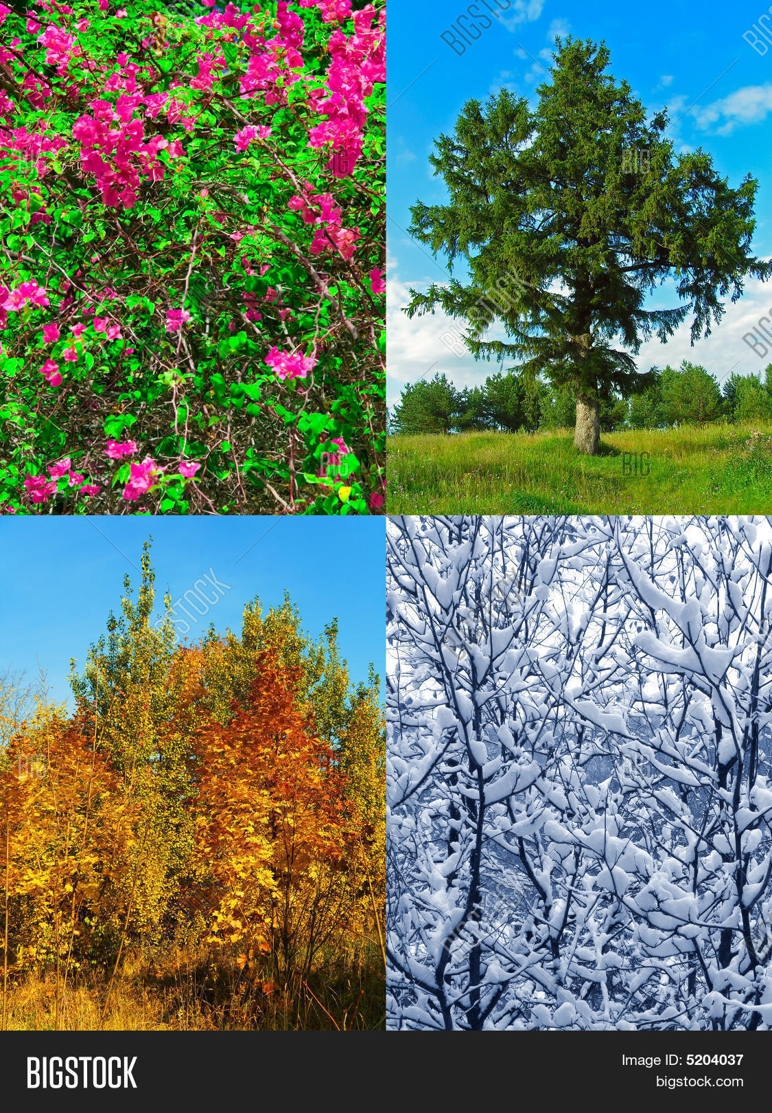 Four Seasons Image & Photo (Free Trial) | Bigstock