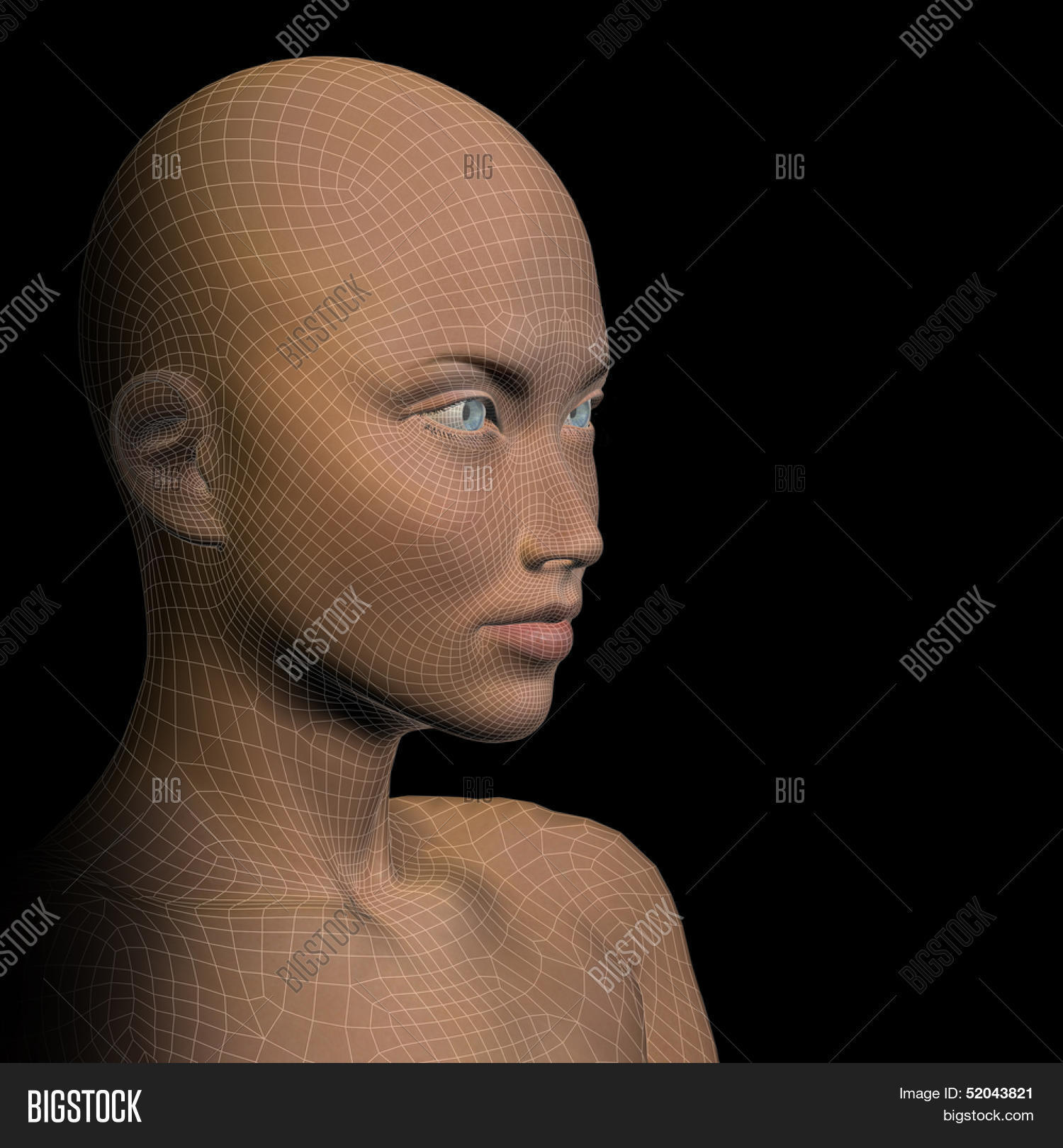 High Resolution Image & Photo (Free Trial) | Bigstock