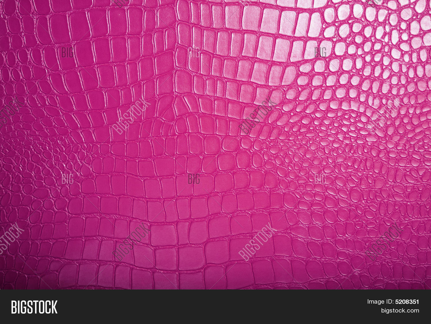 Texture Pink Leather Image & Photo (Free Trial) | Bigstock