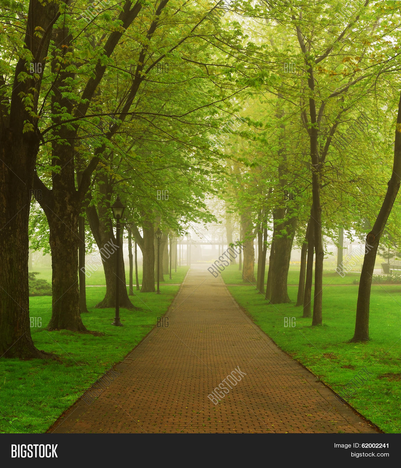 Path Green Foggy Park Image & Photo (Free Trial) | Bigstock