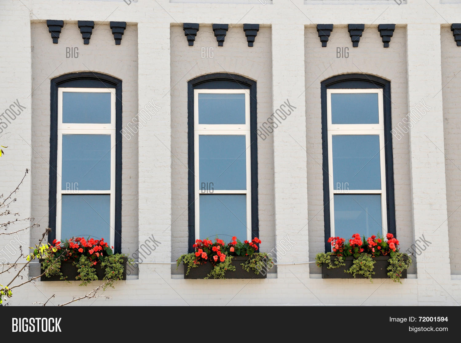 Arched Windows Flowers Image & Photo (Free Trial) | Bigstock