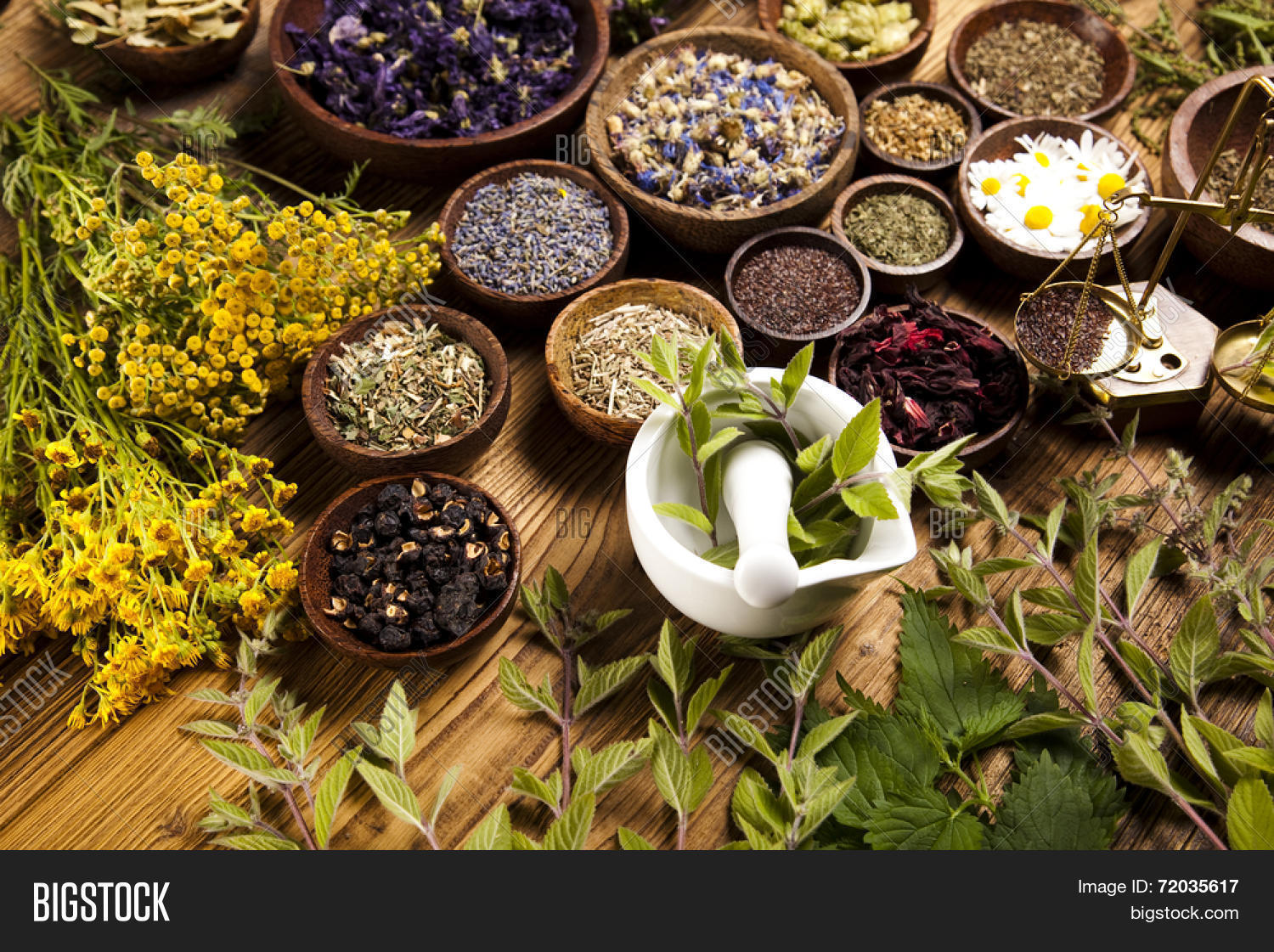 Fresh Medicinal Herbs Image & Photo (Free Trial) | Bigstock