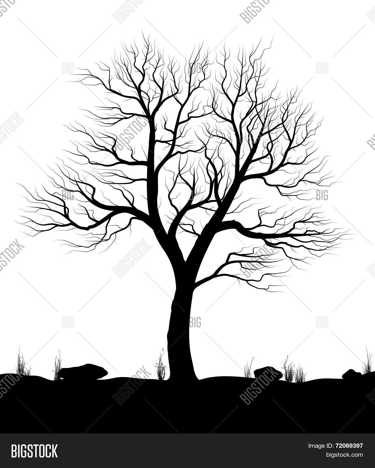 Landscape Old Tree Vector & Photo (Free Trial) | Bigstock