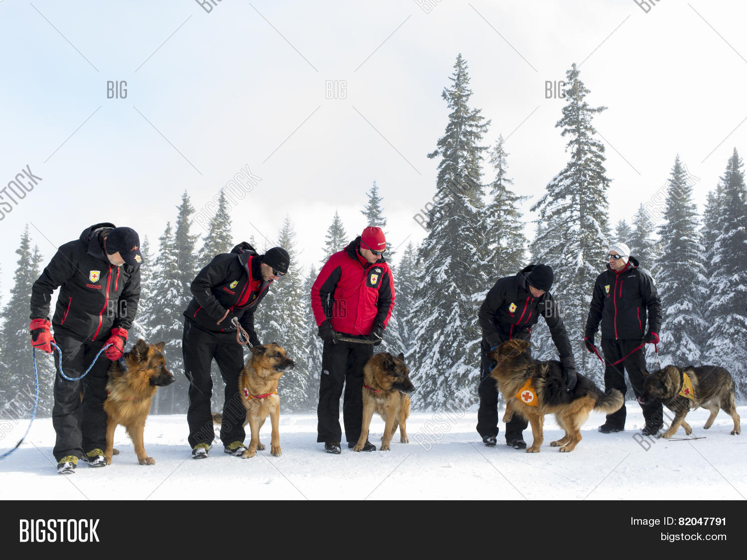 Mountain Rescue Image & Photo (Free Trial) | Bigstock