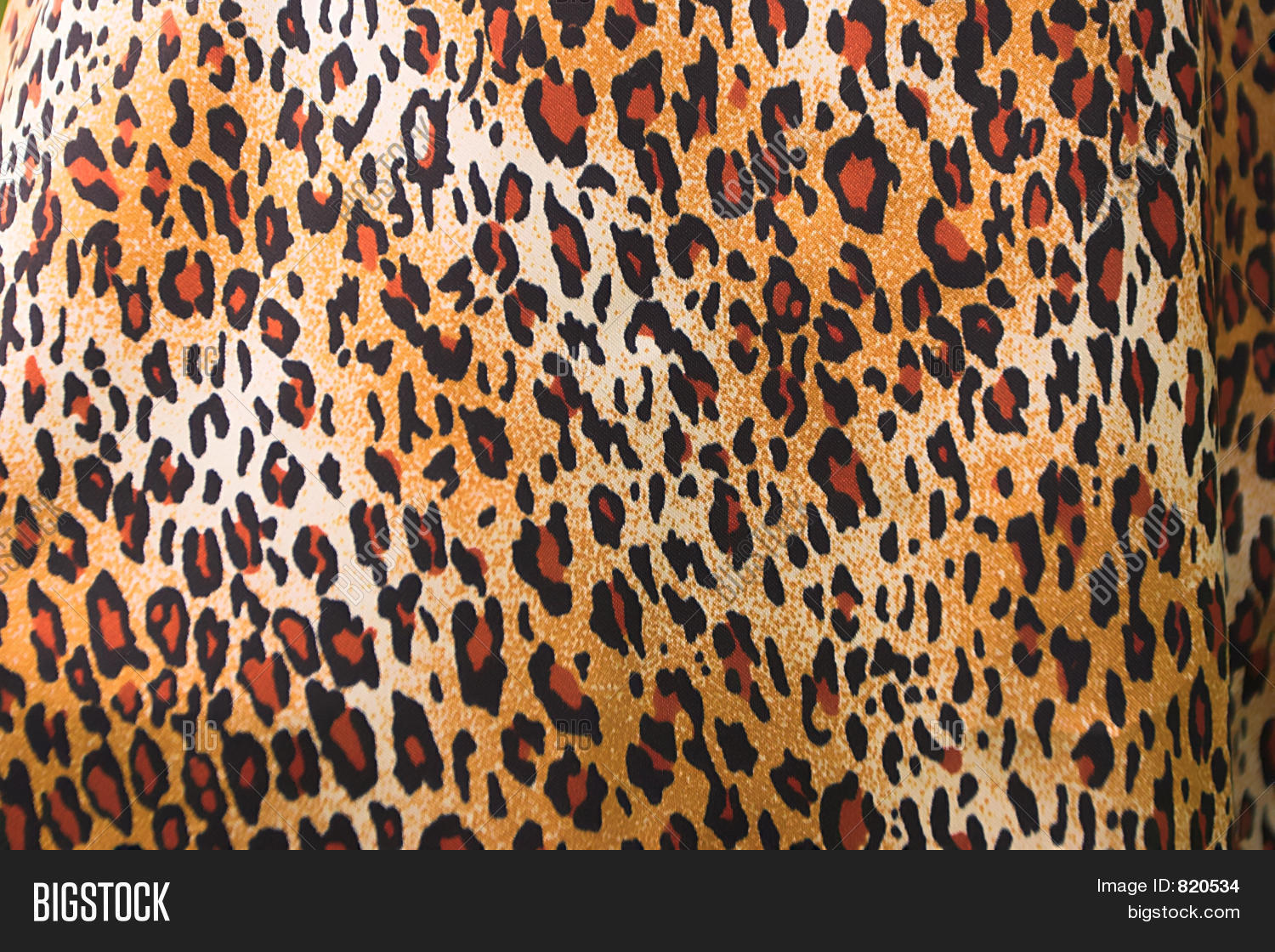 Leopard Image & Photo (Free Trial) | Bigstock