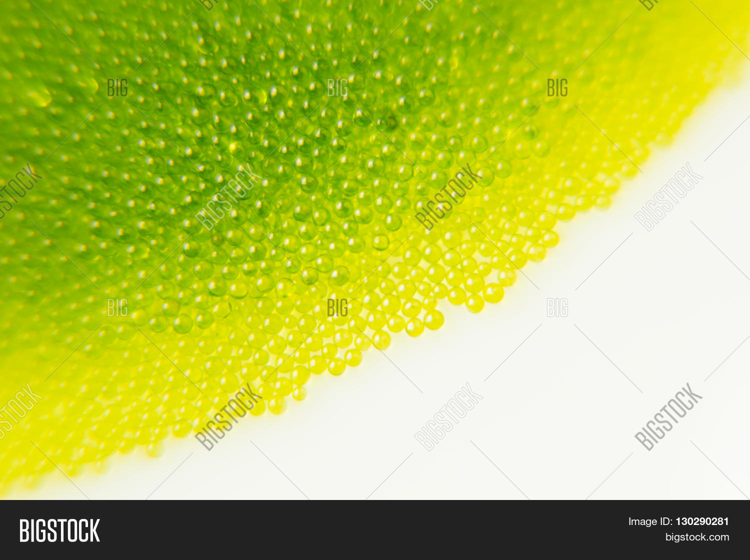 Abstract Bright Green Image & Photo (Free Trial) | Bigstock