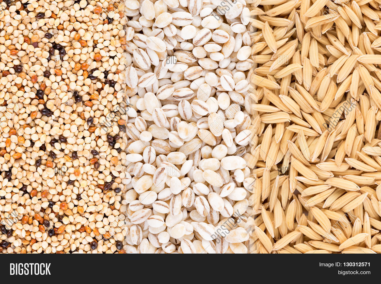 Closeup Grains Image & Photo (Free Trial) | Bigstock