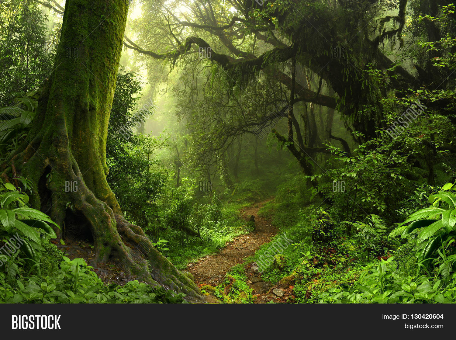 Nepal Tropical Jungle Image & Photo (Free Trial) | Bigstock
