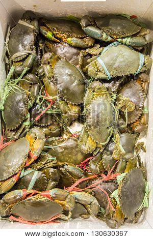 Buckets Live Sea Image & Photo (Free Trial) | Bigstock