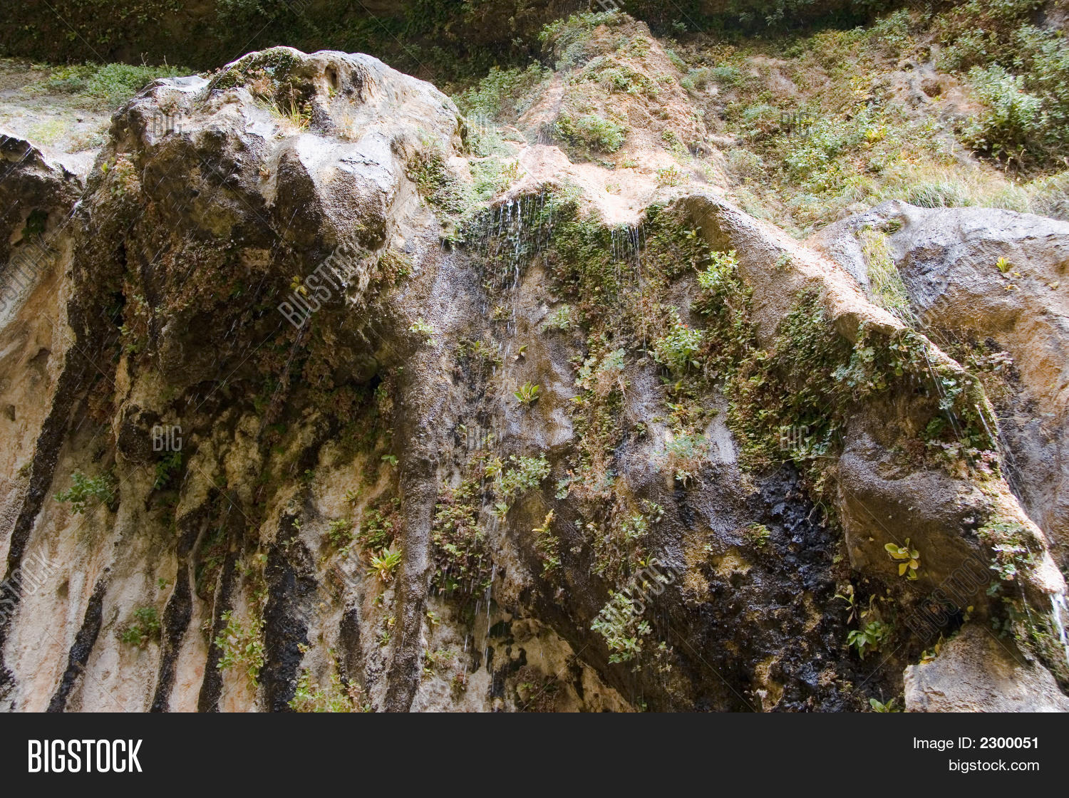 ภาพและภาพถ่าย (ทดลองใช้ฟรี) | Bigstock