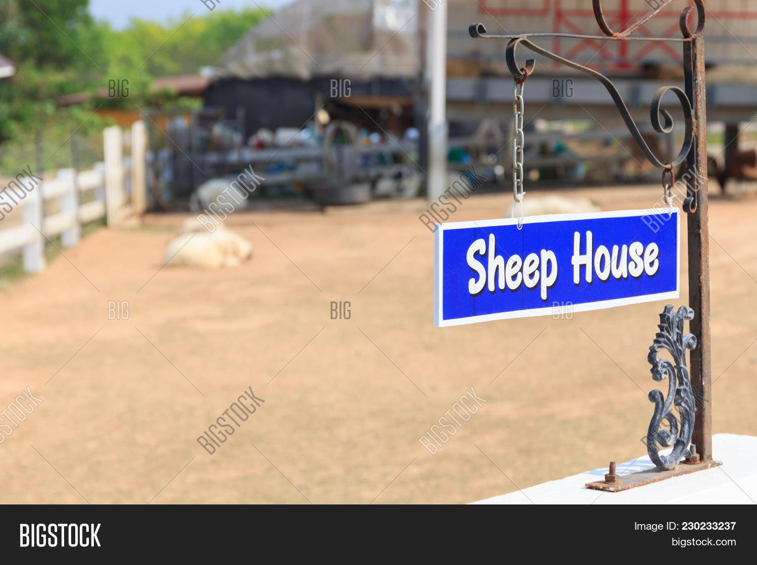 Label Text Sheep House Image & Photo (Free Trial) | Bigstock