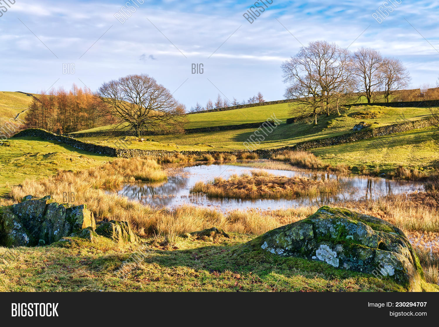 Large Pond Small Tarn Image & Photo (Free Trial) | Bigstock