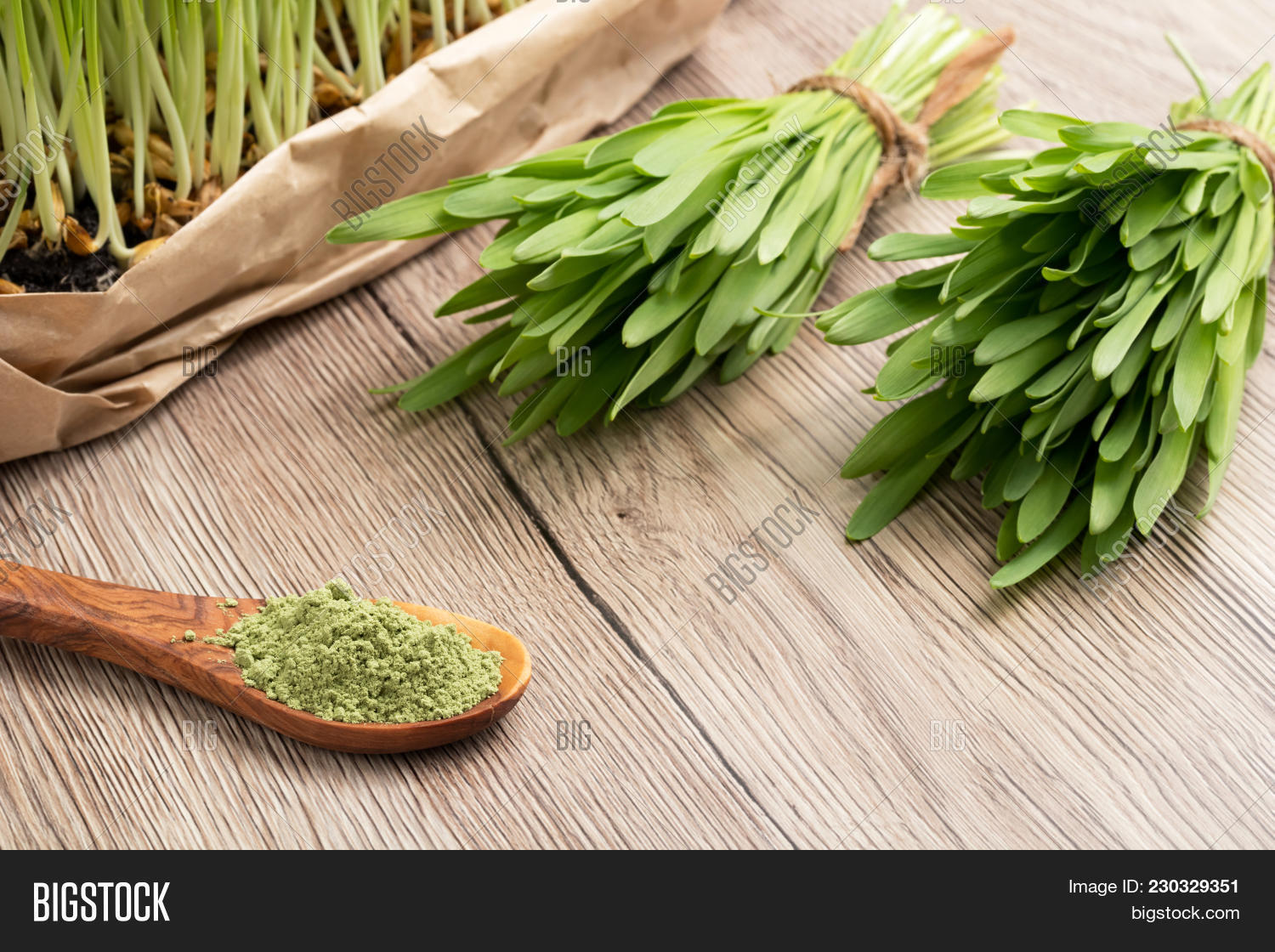 Green Barley Grass Image & Photo (Free Trial) | Bigstock