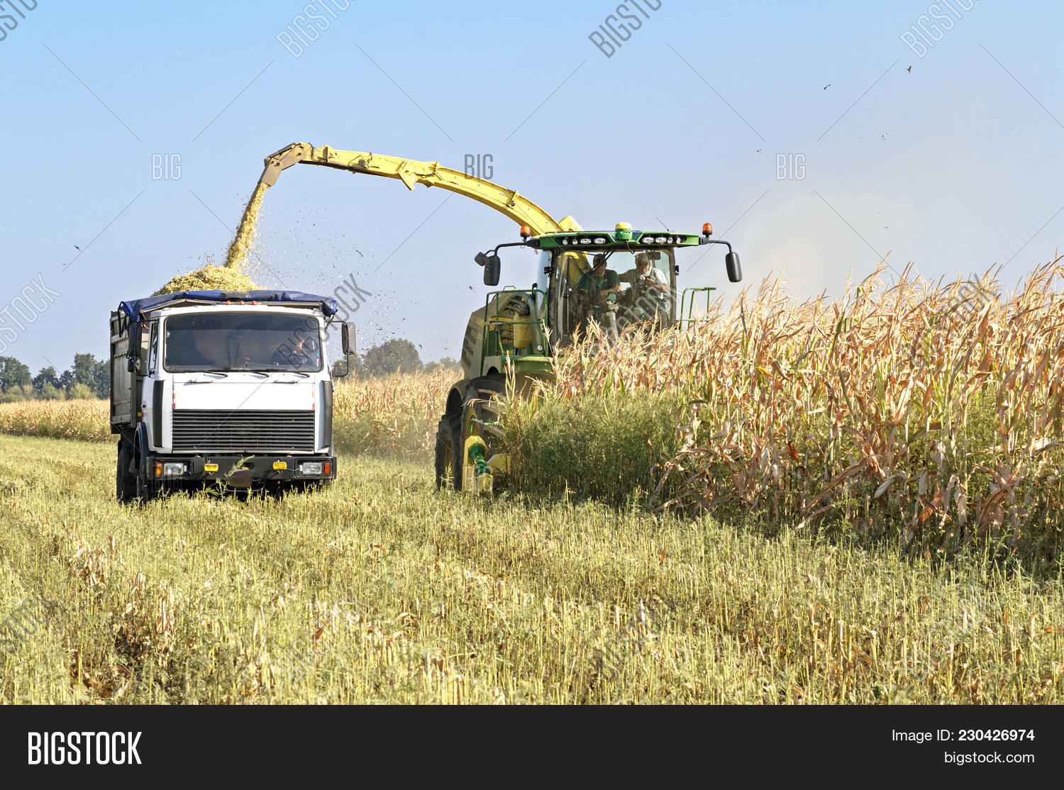 Self-propelled Forage Image & Photo (Free Trial) | Bigstock