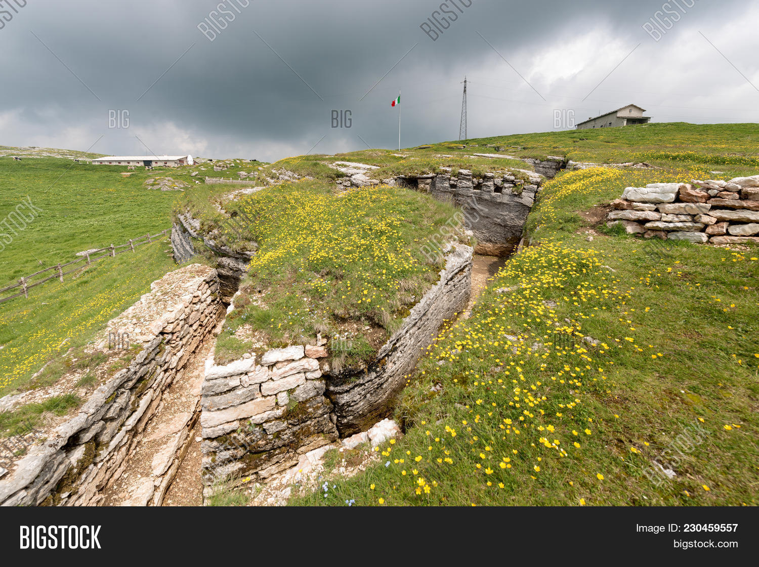 Ancient Natural Image & Photo (Free Trial) | Bigstock