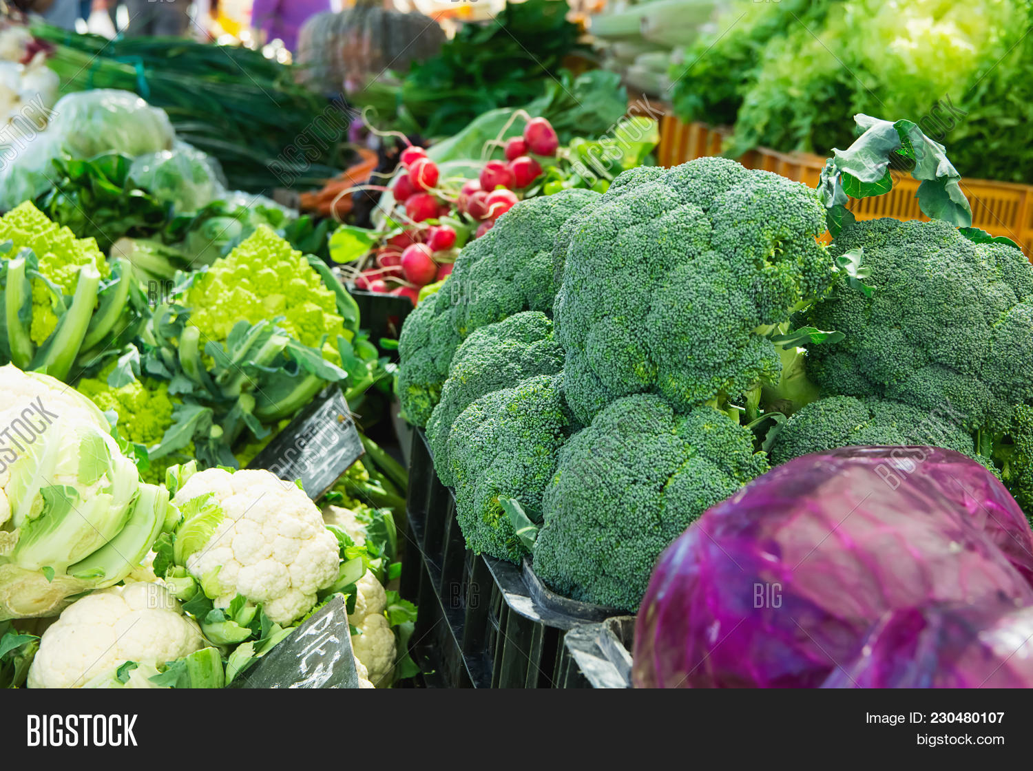 Variety Assortment Image & Photo (Free Trial) | Bigstock