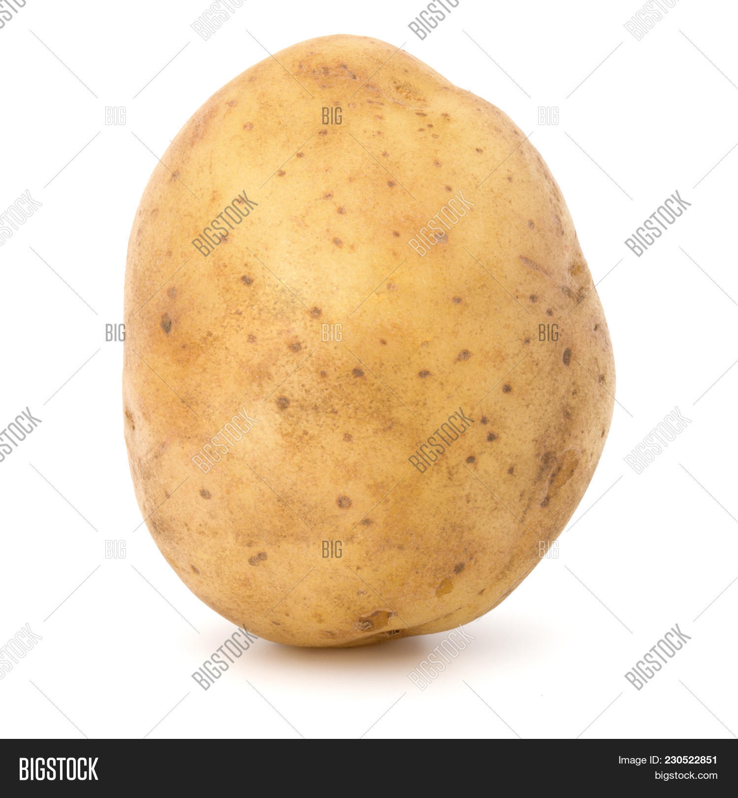 New Potato Tuber Image & Photo (Free Trial) | Bigstock