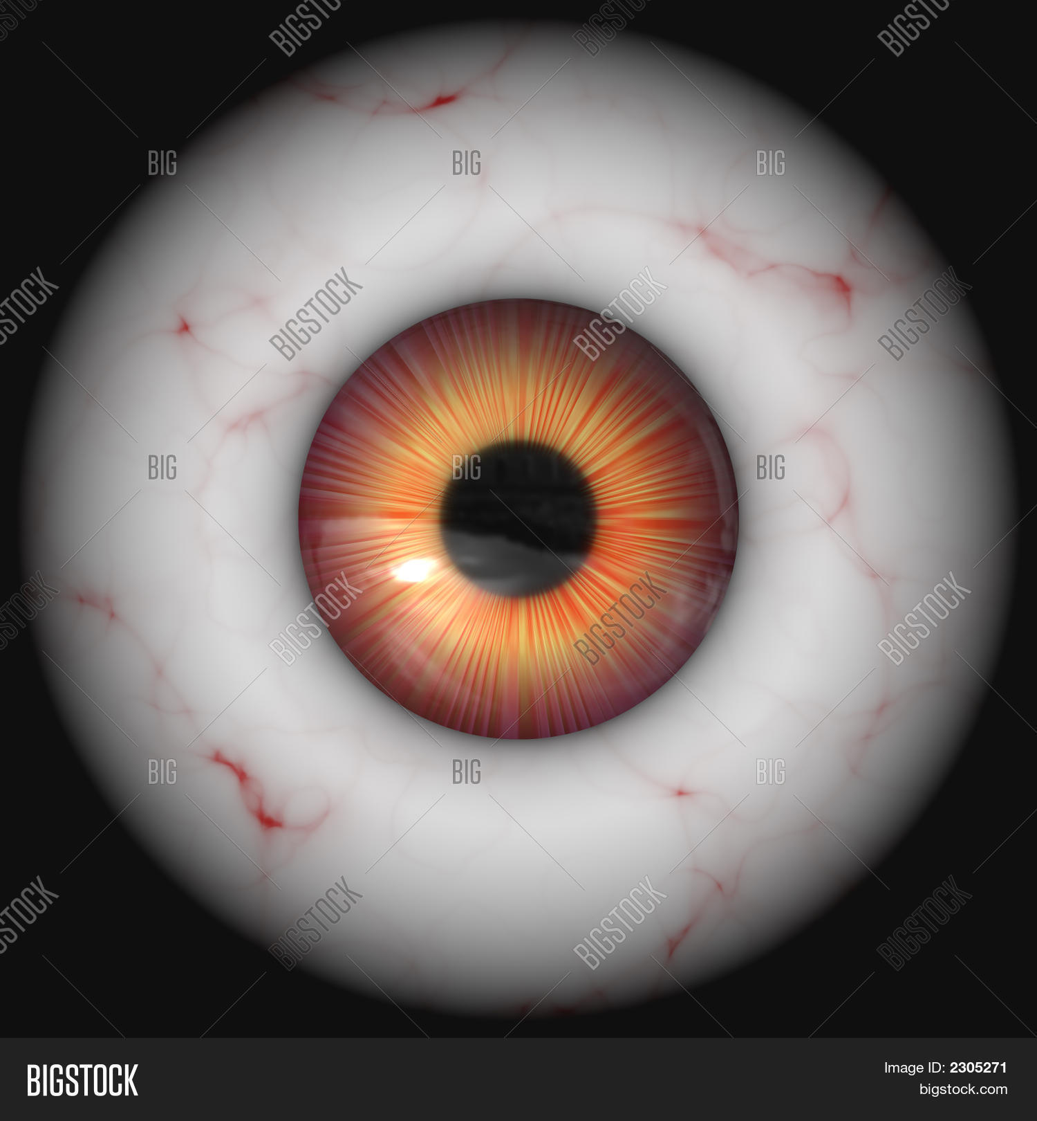 Large Eyeball Image & Photo (Free Trial) | Bigstock