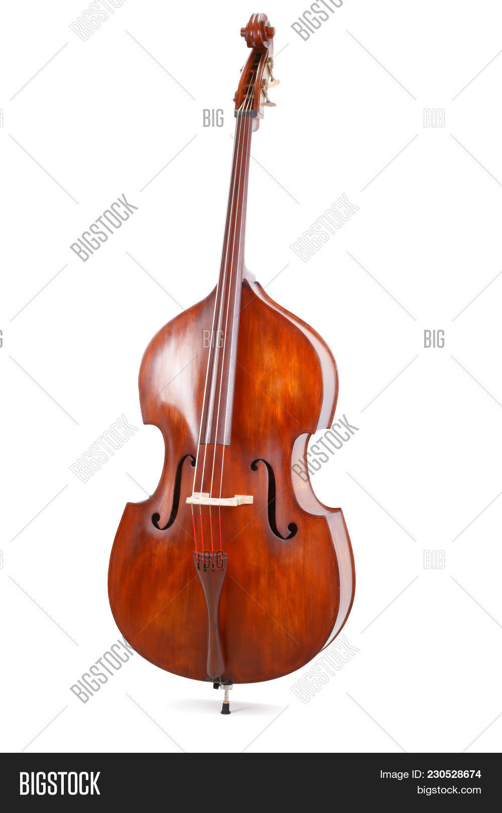 Front View Double Bass Image & Photo (Free Trial) | Bigstock