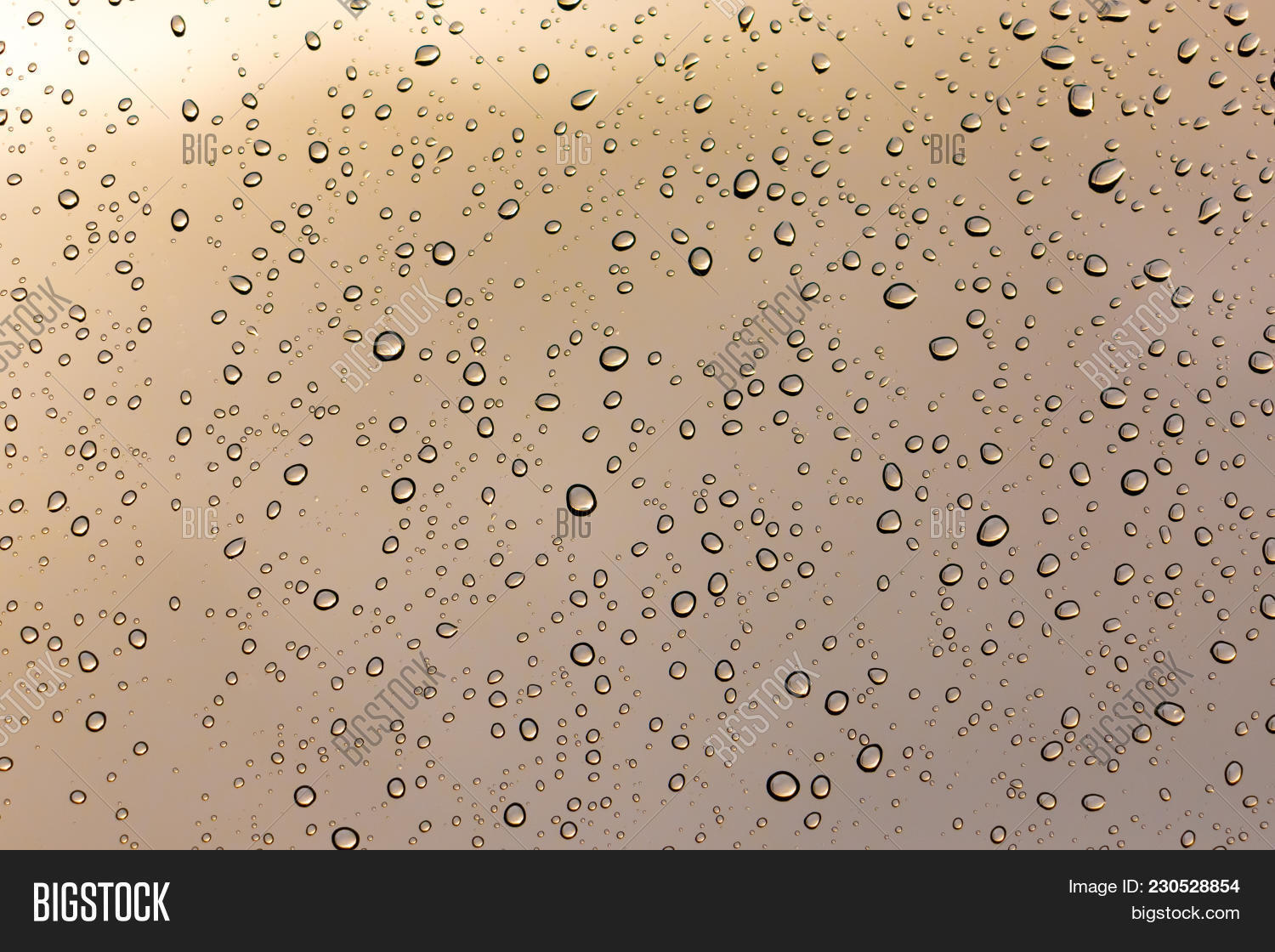Tiny Water Drops On Image & Photo (Free Trial) | Bigstock