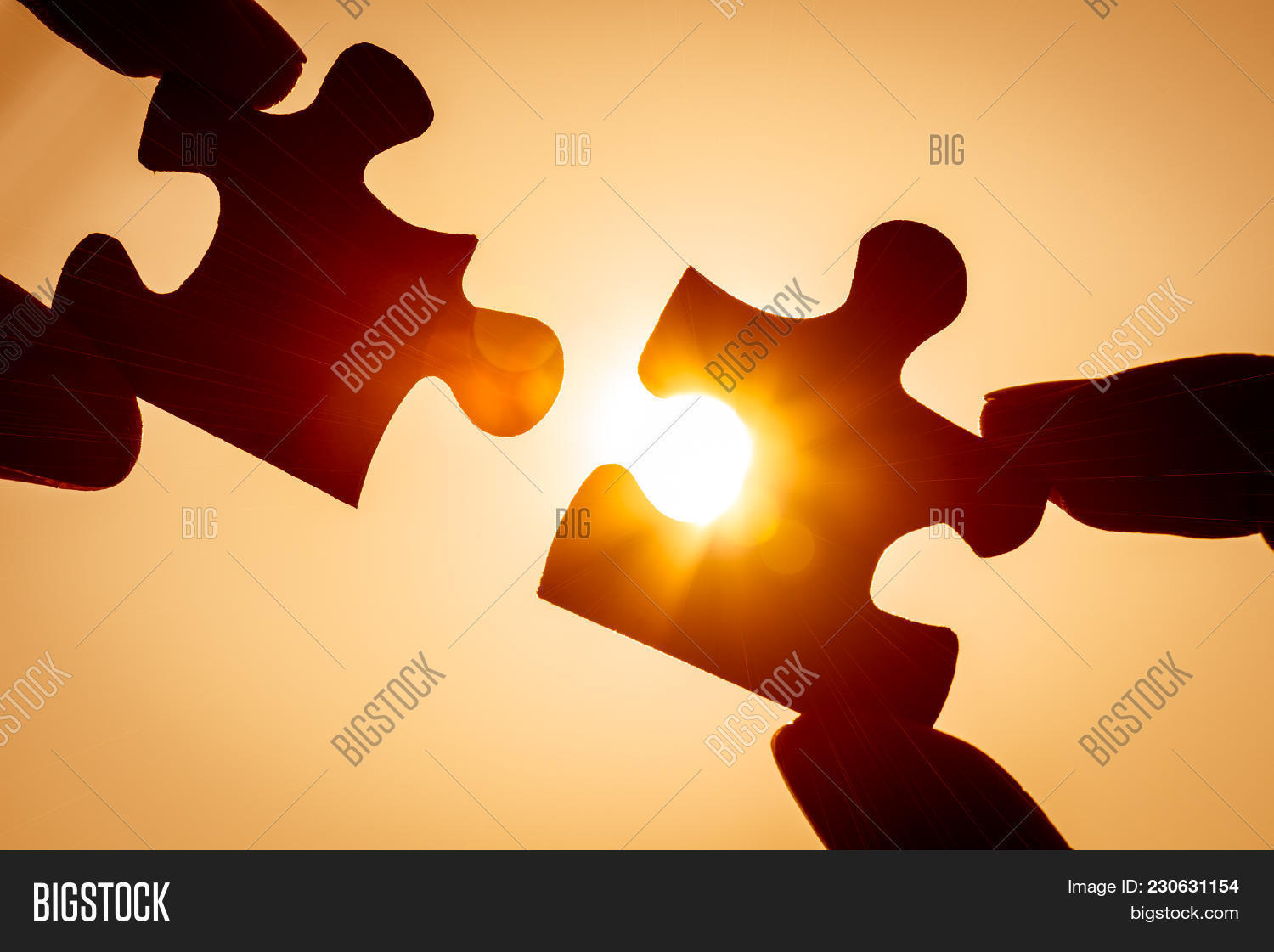 Silhouette Closeup Image & Photo (Free Trial) | Bigstock