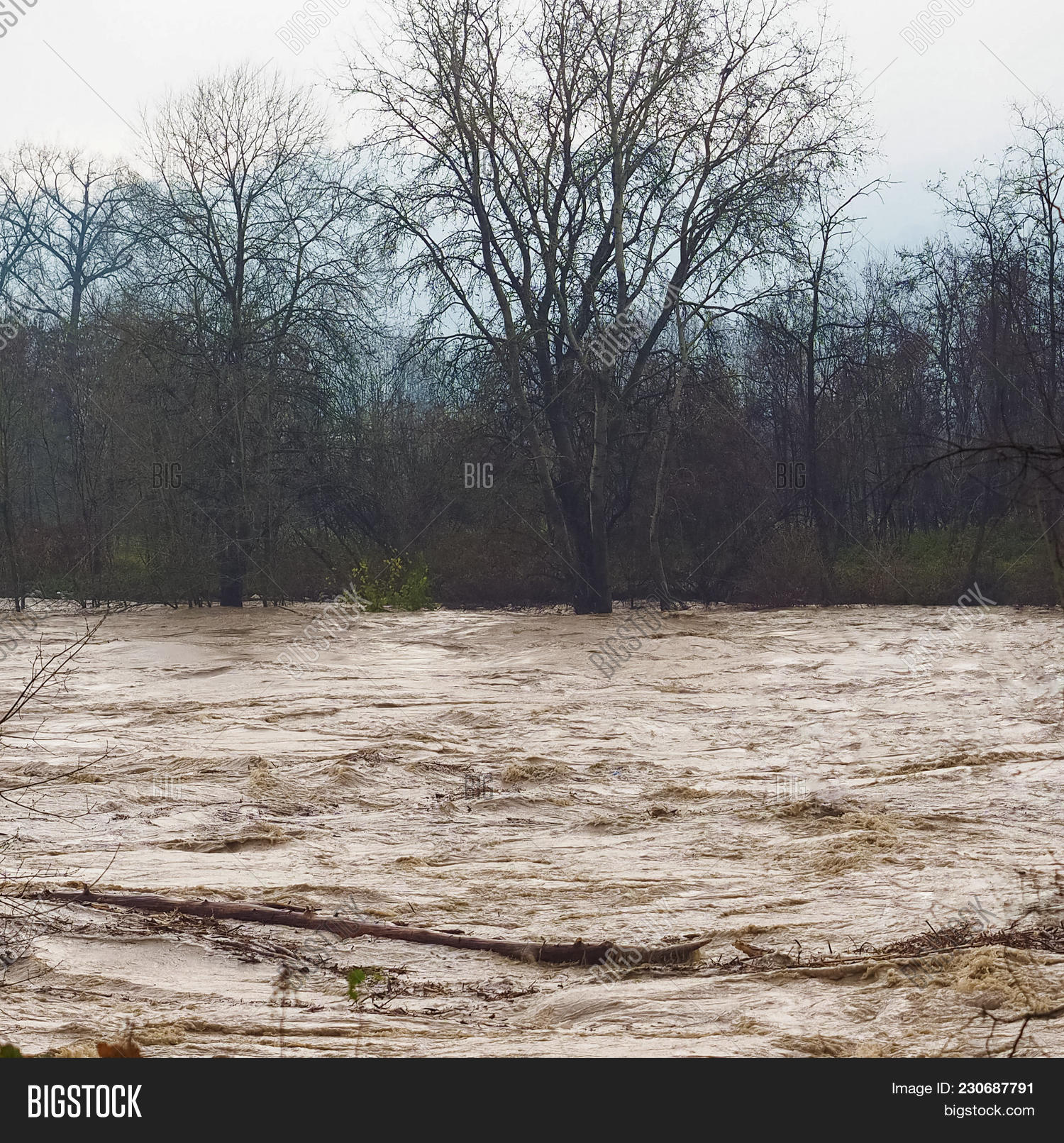 Muddy Water River Image & Photo (Free Trial) | Bigstock