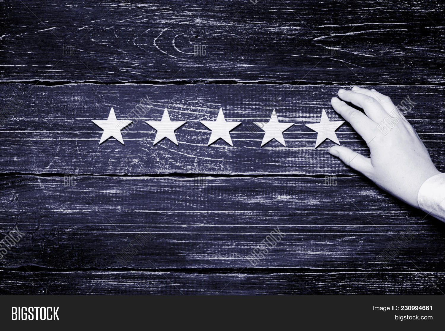 Woman's Hand Puts Image & Photo (Free Trial) | Bigstock