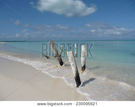 Isla Pasion - Image & Photo (Free Trial) | Bigstock