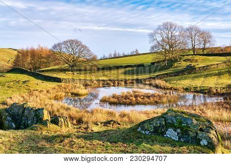 Large Pond Small Tarn Image & Photo (Free Trial) | Bigstock