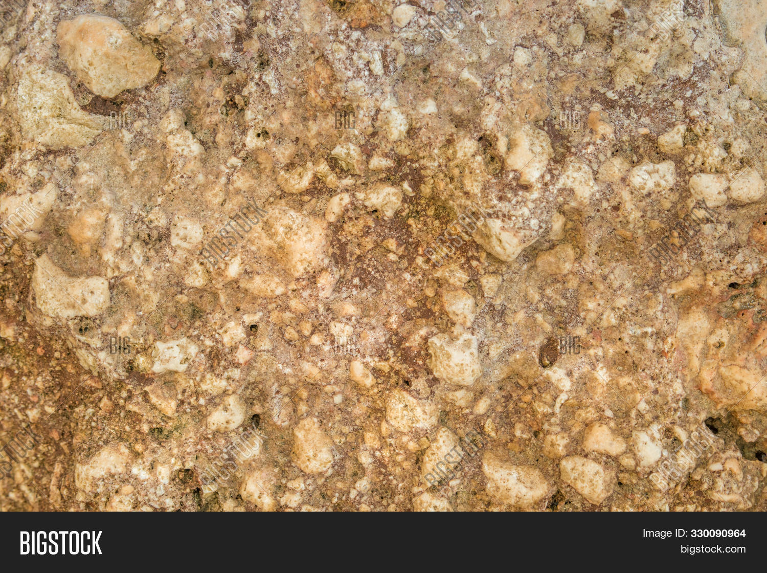 Stone Texture. Beige Image & Photo (Free Trial) | Bigstock
