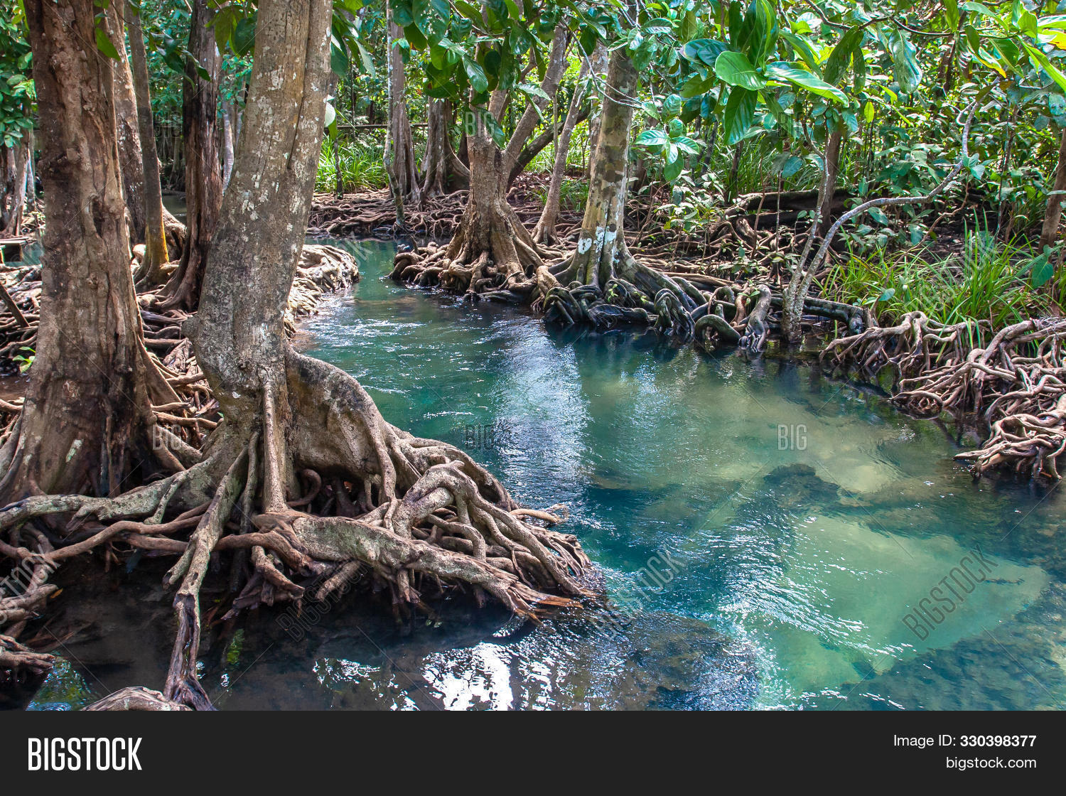 Small River Flows Image & Photo (Free Trial) | Bigstock