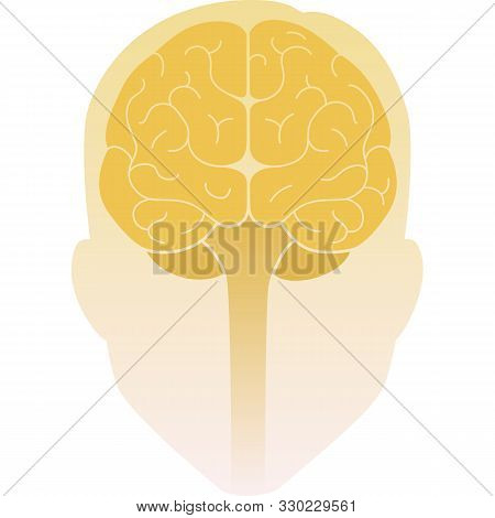 Human Head Front View Vector & Photo (Free Trial) | Bigstock