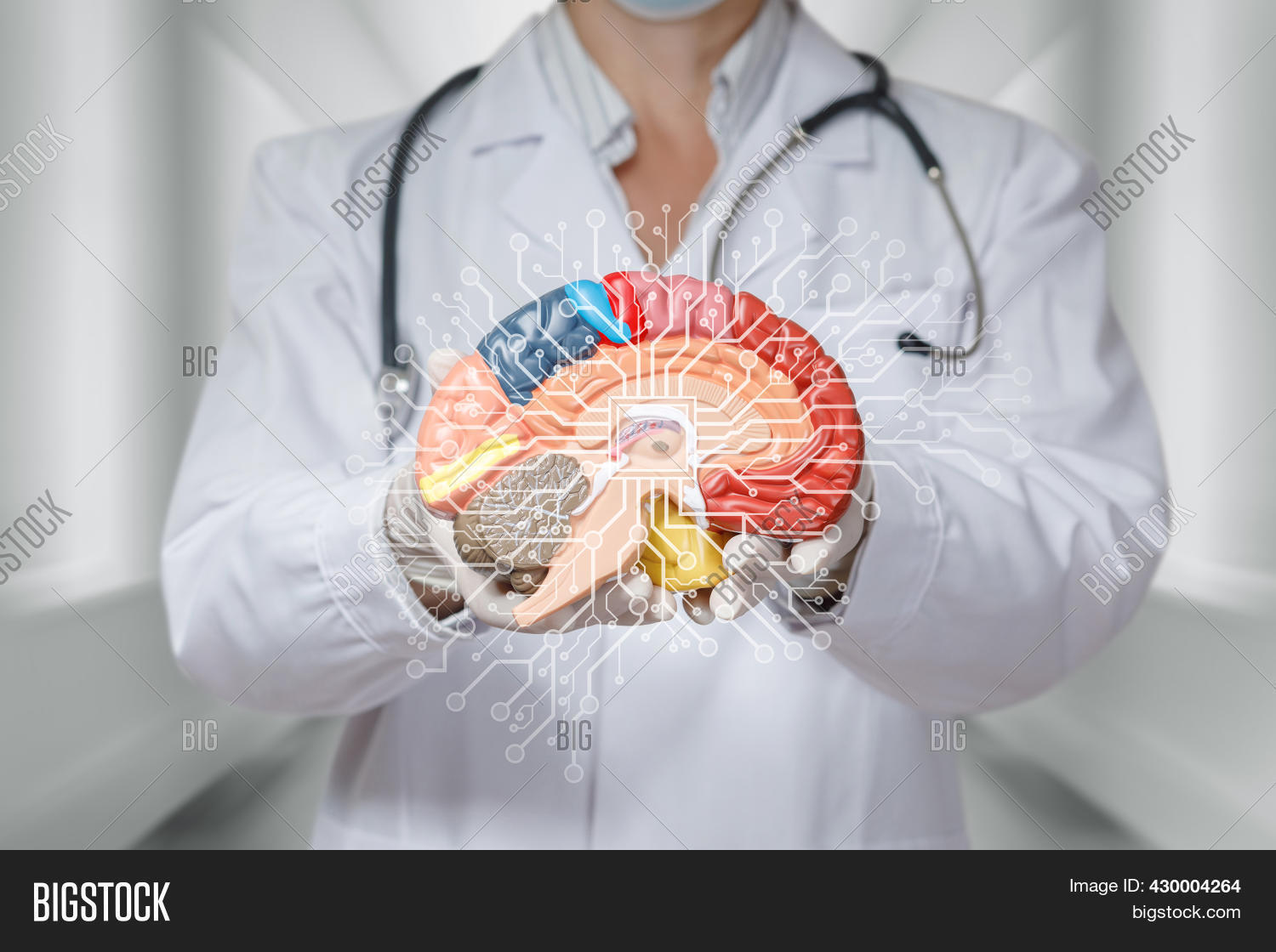 Concept Brain Function Image & Photo (Free Trial) | Bigstock