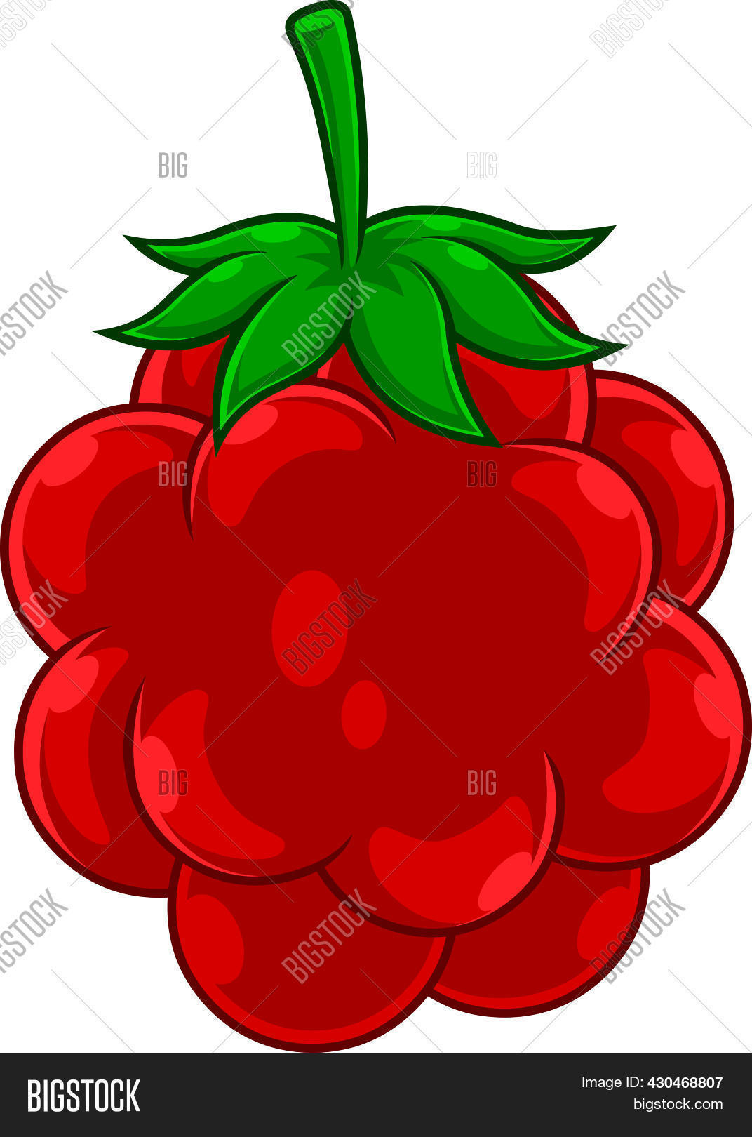 Cartoon Raspberry Image & Photo (Free Trial) | Bigstock