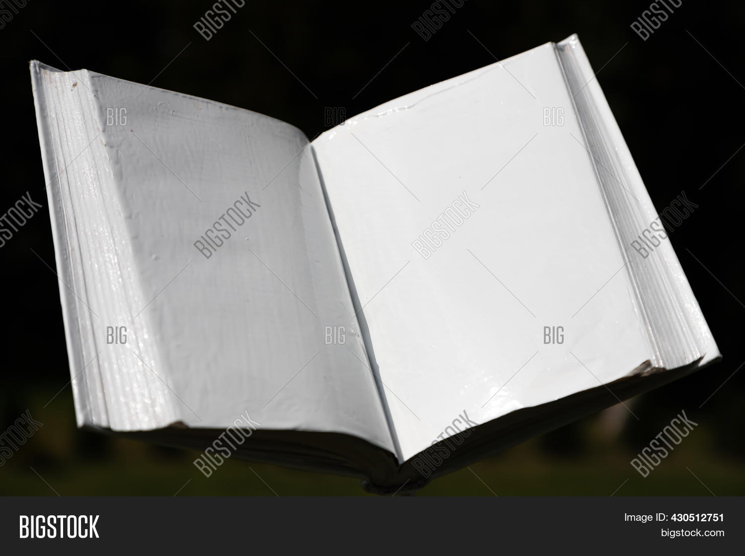 Blank White Open Book Image & Photo (Free Trial) | Bigstock