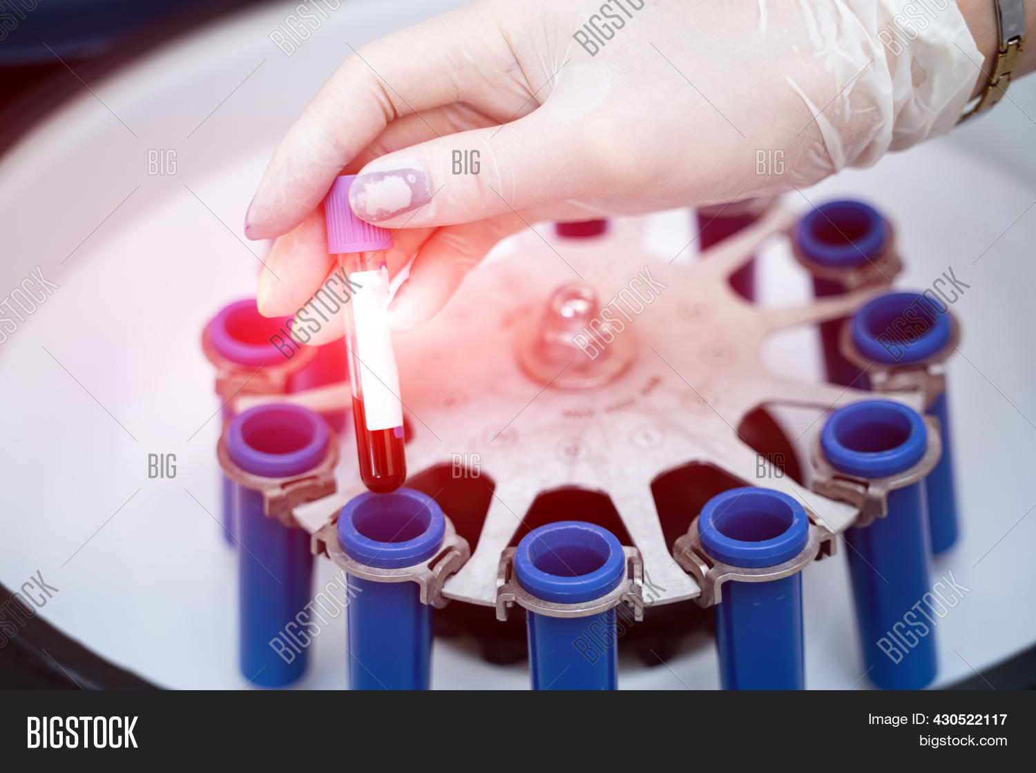 Female's Hand Blue Image & Photo (Free Trial) | Bigstock