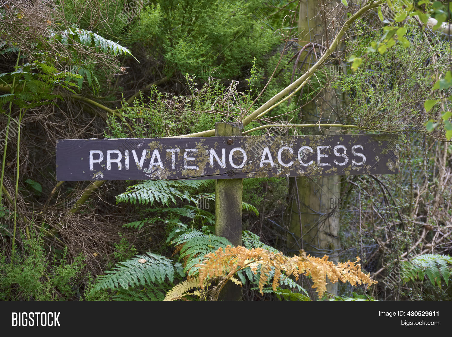 Private No Access Sign Image & Photo (Free Trial) | Bigstock