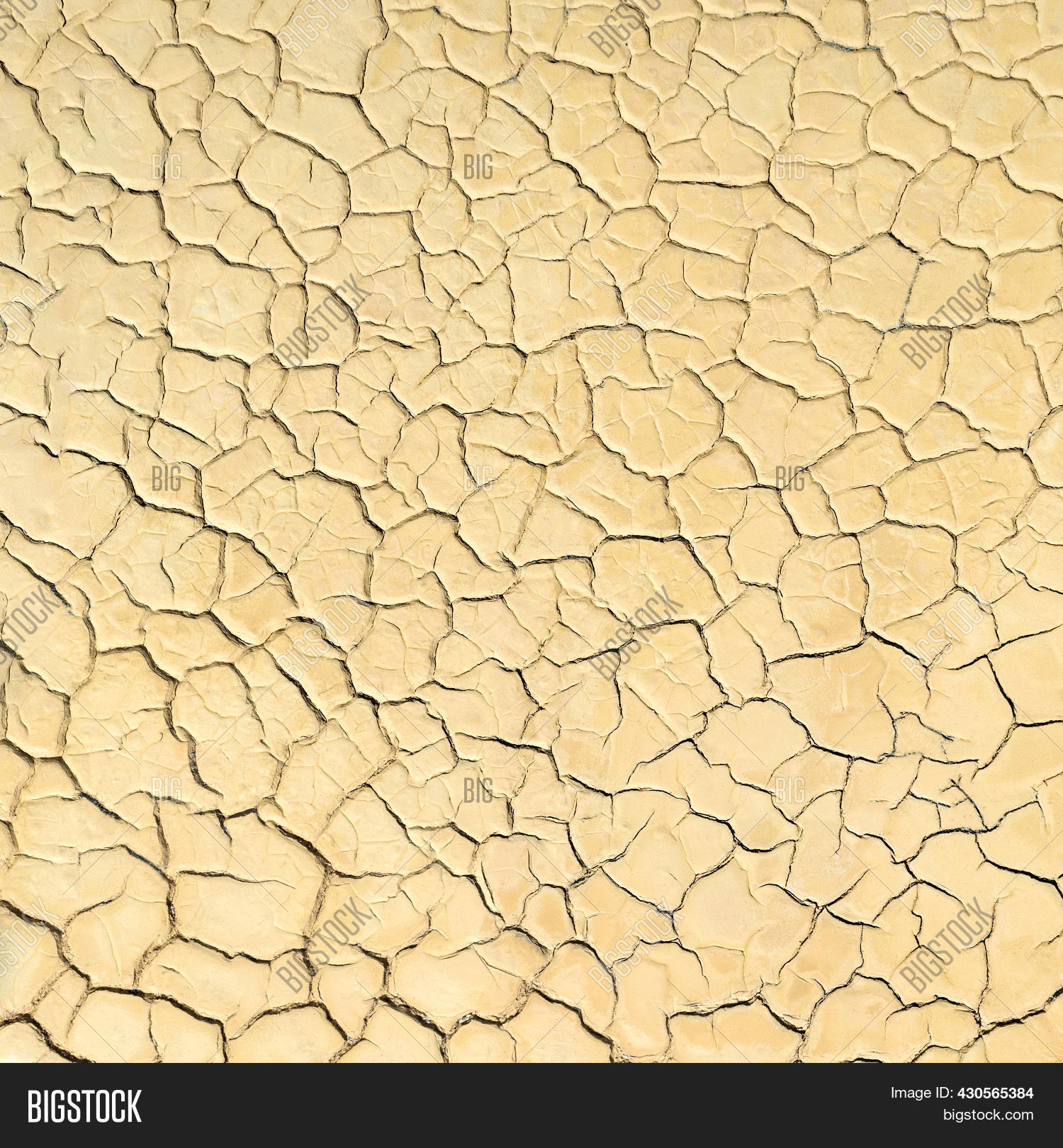 Surface Dried Lake Bed Image & Photo (Free Trial) | Bigstock